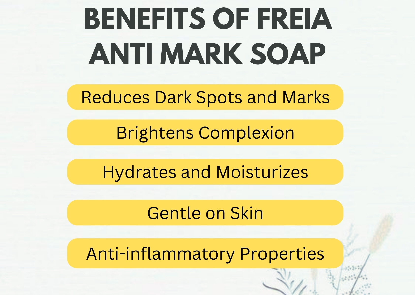 Freia Anti Marks Soap - Viviano